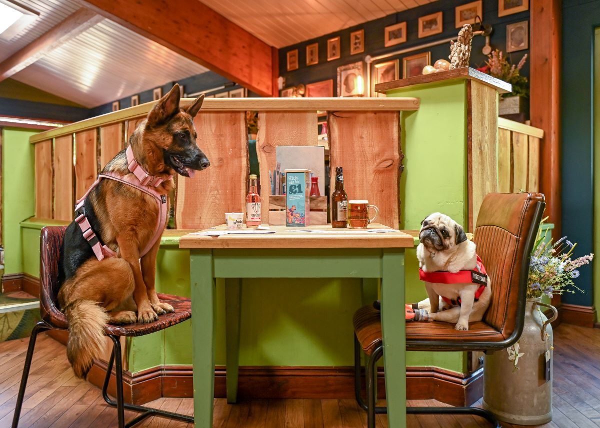 The Dog’s Frolics: Away Resorts opens UK’s first pub for dogs