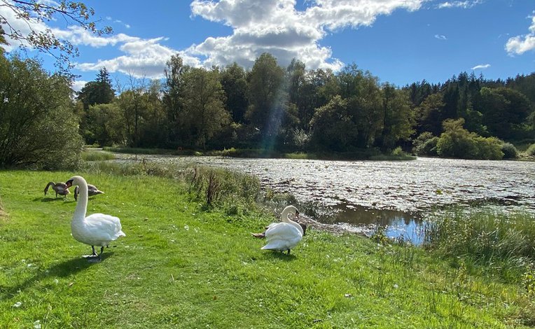 Facilities | Moffat Manor | Away Resorts