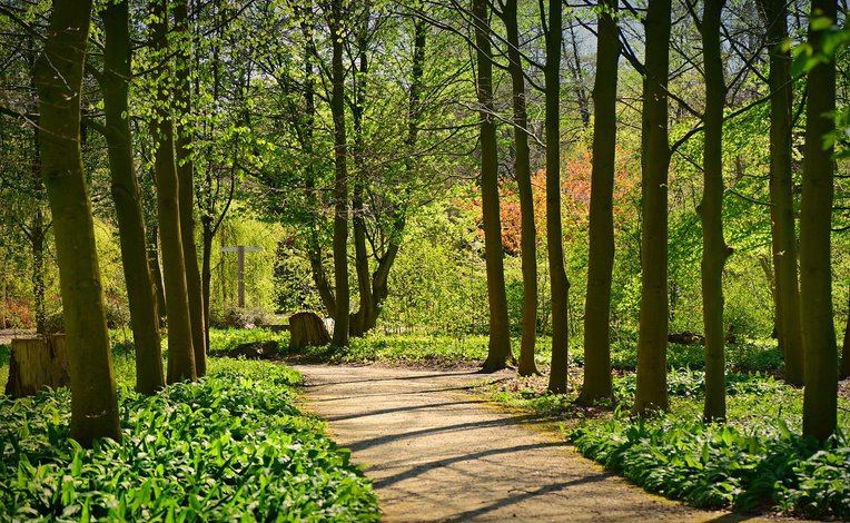The best hiking trails in Cornwall | Away Resorts