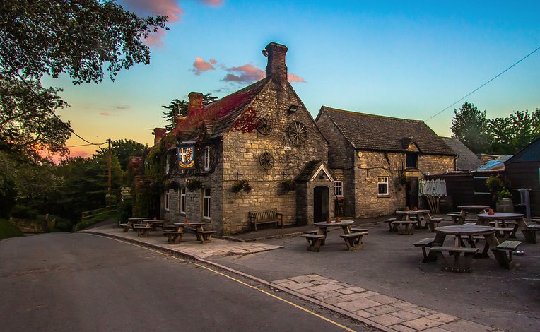 Things to Do in the New Forest with Dogs | Away Resorts