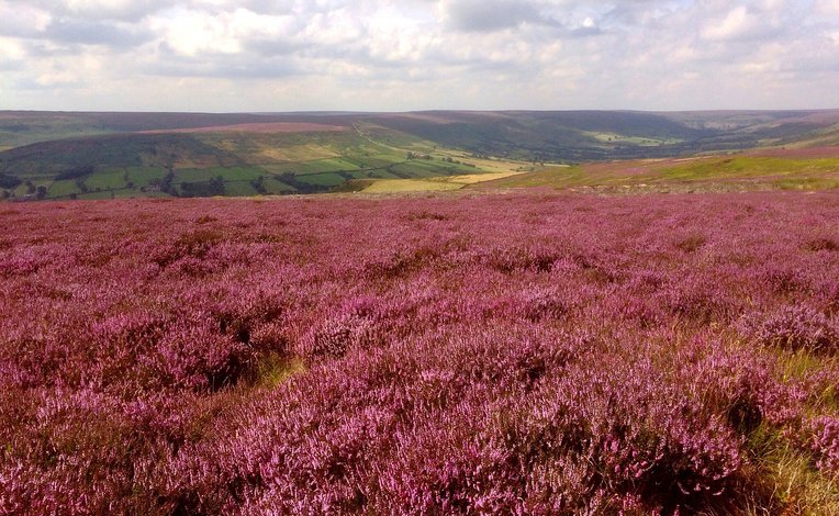 The best hiking trails in Cornwall | Away Resorts