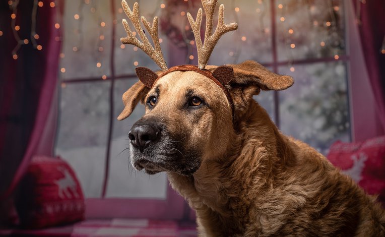 Top 18 family games to play this Christmas | Away Resorts