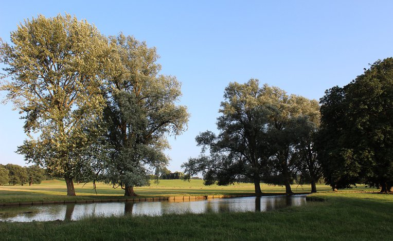 20 of the Best Walks in Lincoln to Try | Away Resorts