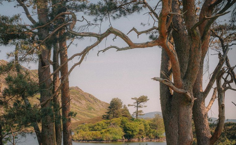 The 12 Best Walks From Barmouth to Explore | Away Resorts