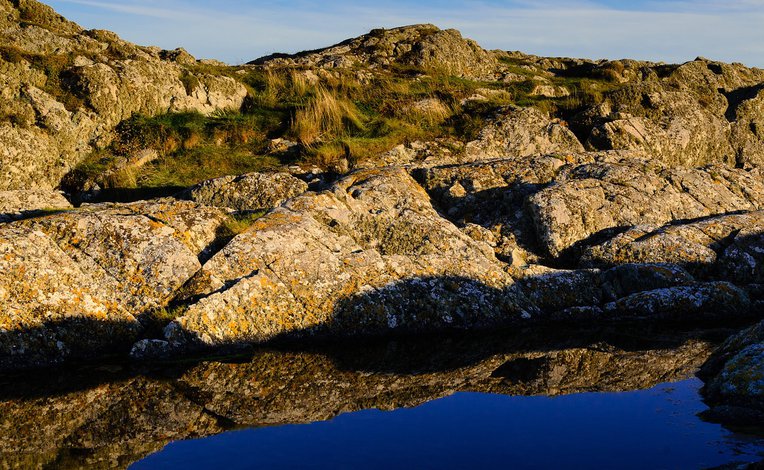 15 Dog Friendly Beaches In North Wales | Away Resorts