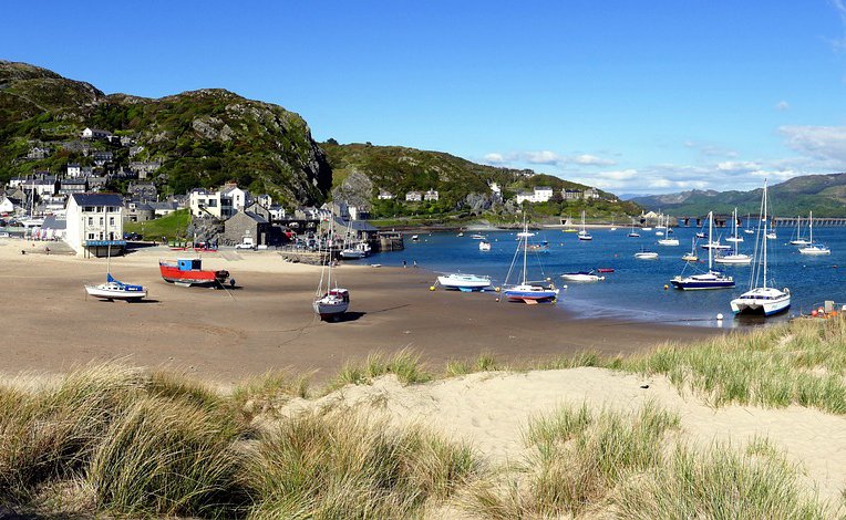 The Best Dog-Friendly Beaches All Year Round | Away Resorts