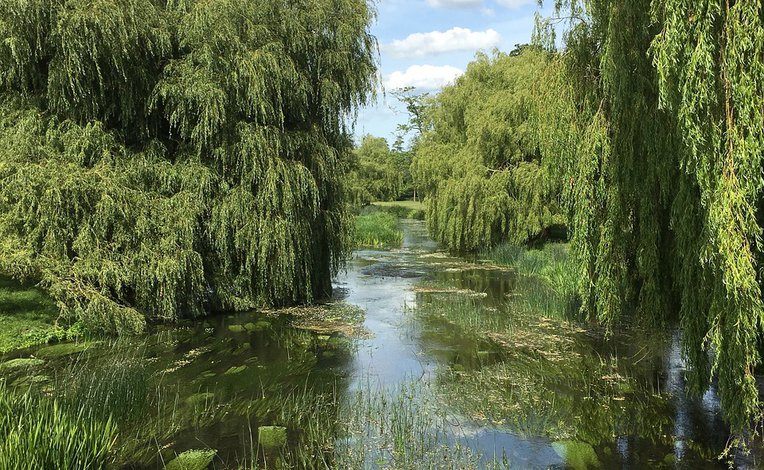 Your Guide to the Best Sherwood Forest Walks | Away Resorts