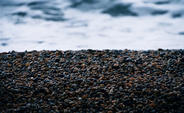 13 Dog Friendly Beaches in Hampshire | Away Resorts