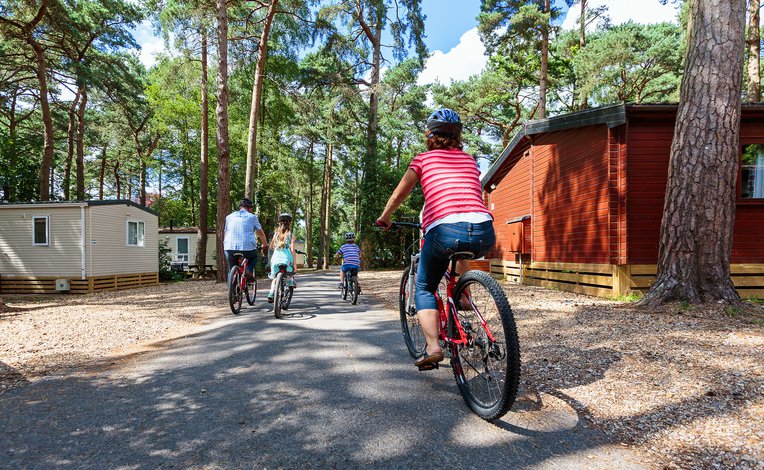 Sandy Balls Holiday Village I New Forest Holiday Park I Away Resorts