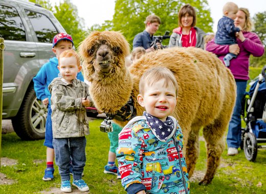 Activities | Sandy Balls | Away Resorts