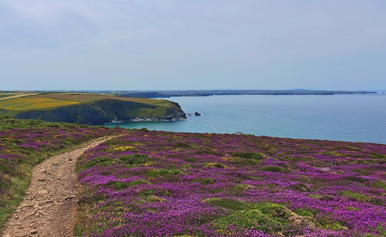 20 of the Best Cornwall Coastal Walks | Away Resorts