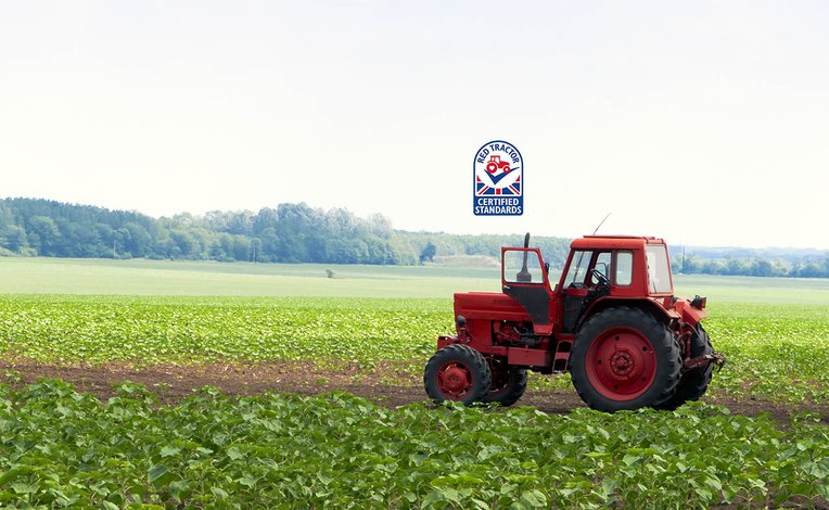 Behind the Scenes | Food & Drink | Away Resorts