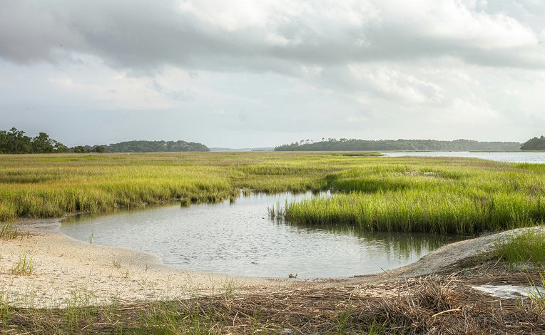 13 of the Best Coastal Walks in Hampshire| Away Resorts