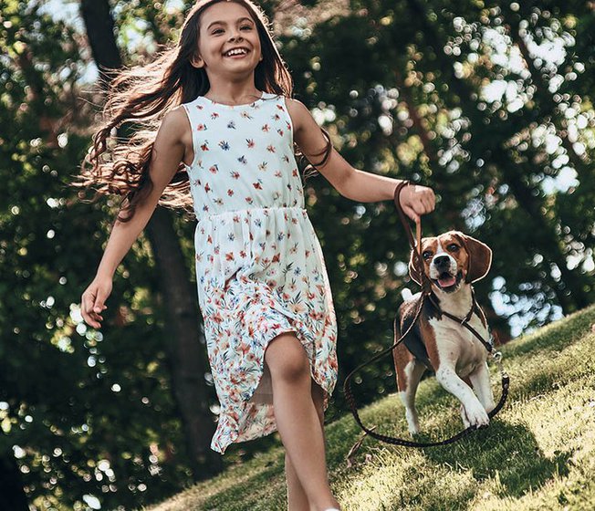 The Lakes Rookley Holiday Park| Isle of Wight | Away Resorts