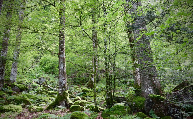 The best hiking trails in Cornwall | Away Resorts