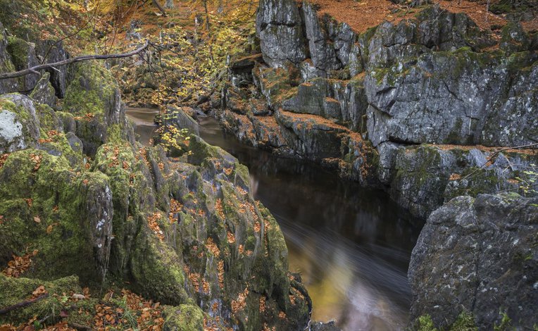 The 12 Best Walks in Angus, Scotland | Away Resorts