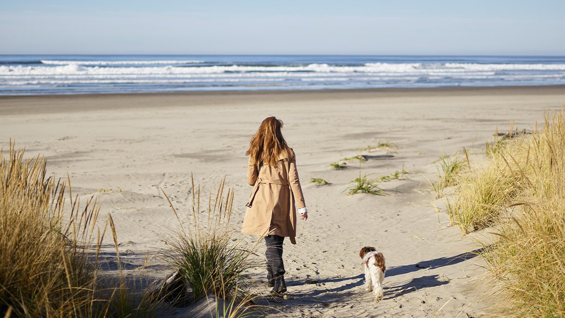 Best dog friendly beach walks | Cornwall | Away Resorts