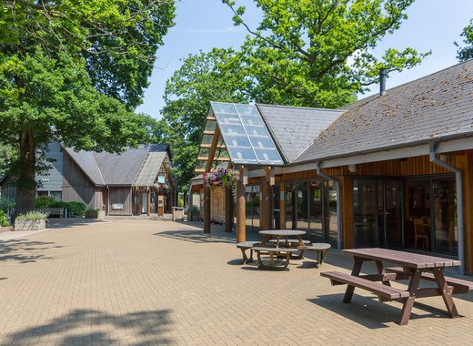 Sandy Balls Holiday Village I New Forest Holiday Park I Away Resorts