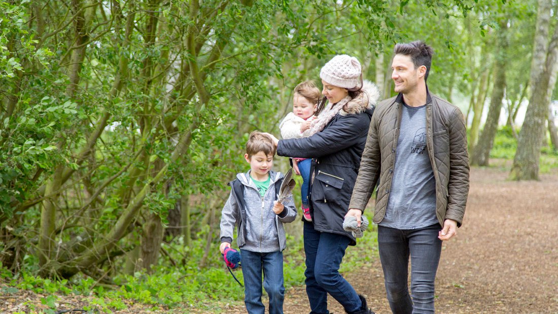 Things to do in the New Forest for Families | Away Resorts