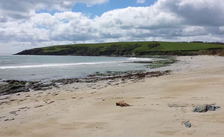 15 of the Greatest Essex Coastal Walks | Away Resorts