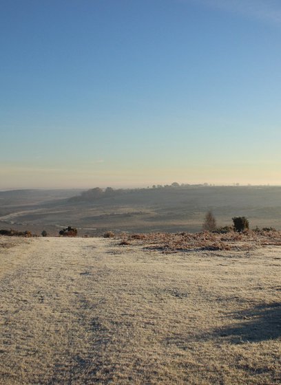 Things to Do in the New Forest for Adults | Away Resorts