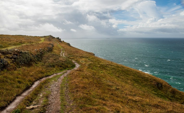 Discover the best dog walks in Cornwall | Away Resorts