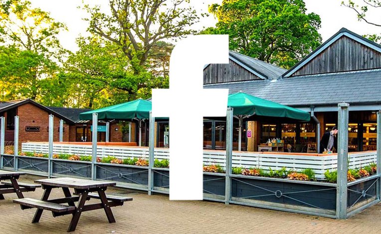 Sandy Balls Holiday Park I New Forest Resort I Away Resorts