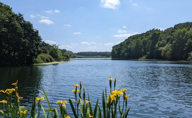 11 Clumber Park Walks in Nottinghamshire | Away Resorts