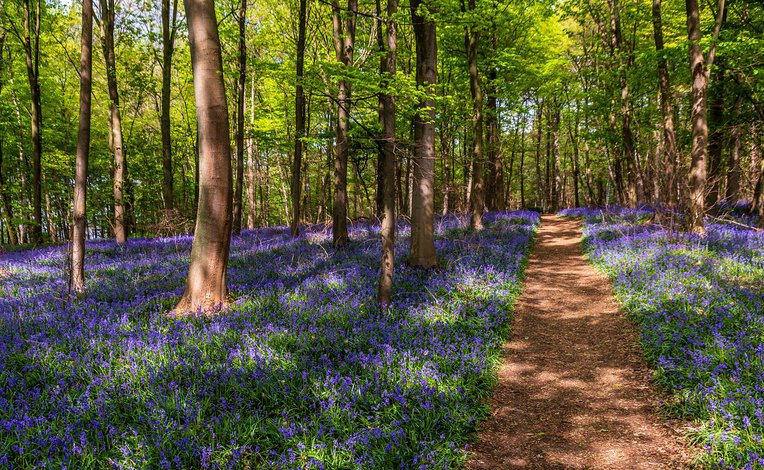 10 Reasons to Visit Cornwall in May and June | Away Resorts