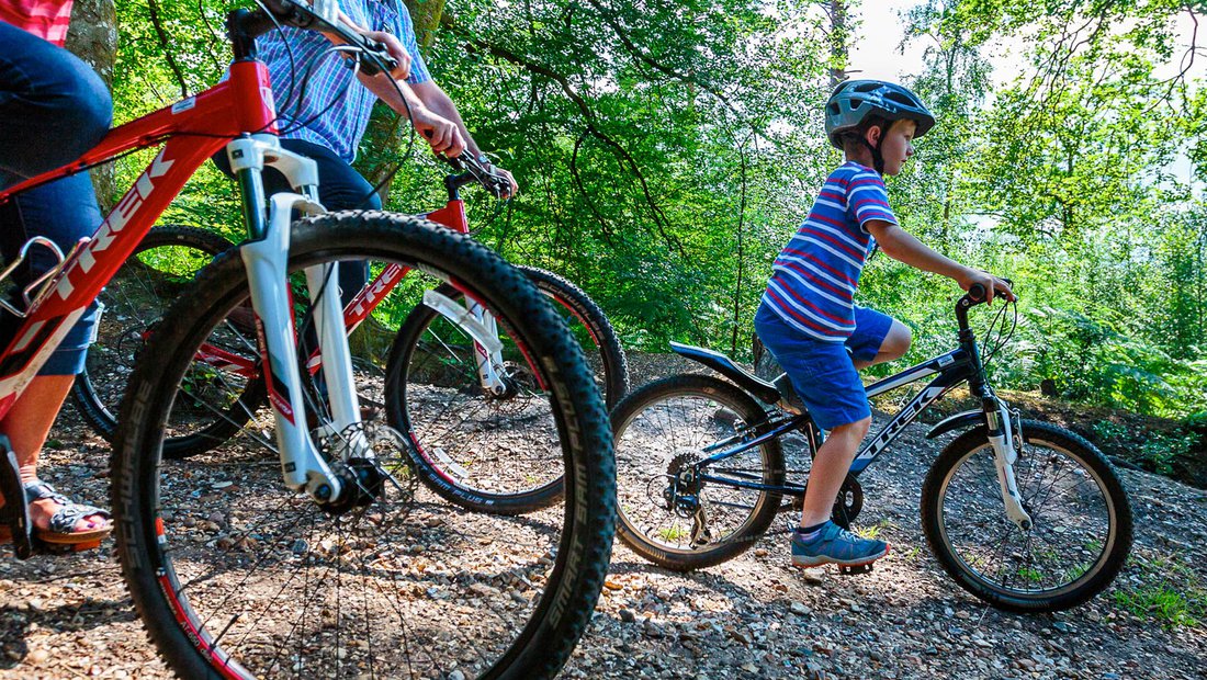13 New Forest Cycle Routes You Have to Try| Away Resorts