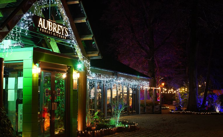 The 20 Best Christmas Events in the UK | Away Resorts