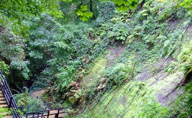 The Top Dog Friendly Isle of Wight Guide | Away Resorts