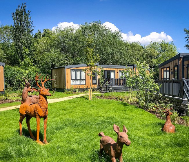 Sandy Balls Holiday Park I New Forest Resort I Away Resorts
